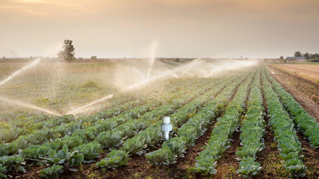 Soil moisture sensor - wanwave